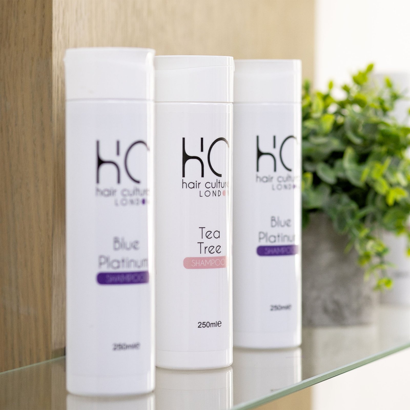 Hair Culture Shop Professional Hair Care Salon Grade Products